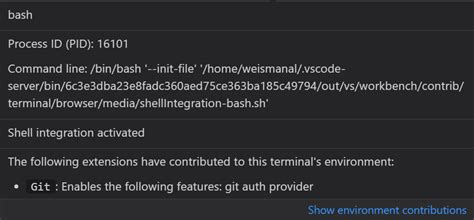 Correct Python Environment In Terminal No Longer Loads Issue 21943