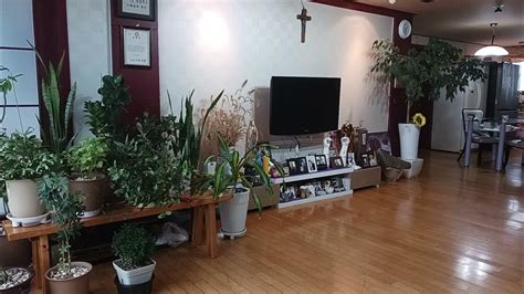 🙏내 여자🙏박진성 동생 가수님 커버 임천성 Youtube 🙏내 여자🙏박진성 동생 가수님 커버 임천성 Youtube