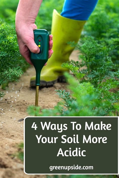 How To Make Garden Soil More Acidic 4 Ways To Lower Ph Artofit