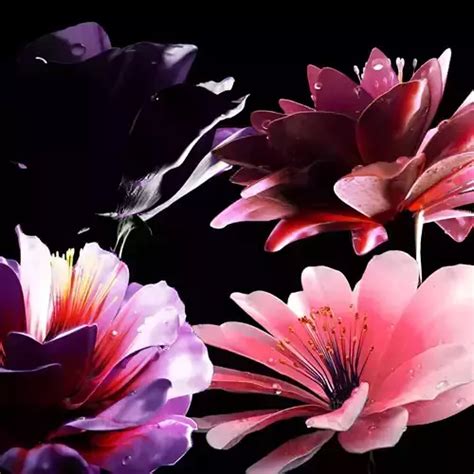 12 Unique Flowers Asset Pack 3d Model Cgtrader