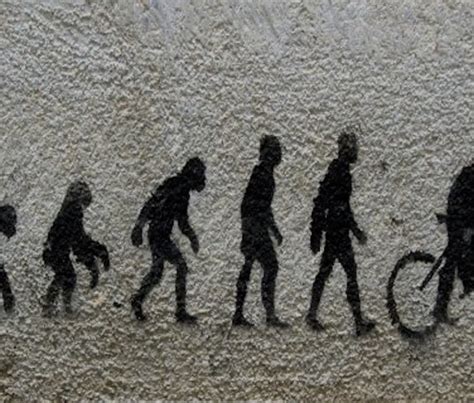 Some Humans In America Are Still Evolving