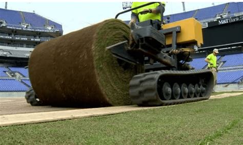 Every Nfl Turf Field And When They Switched