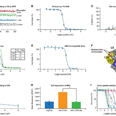 Zilucoplan Destabilizes C5b6 And Inhibits C5b6 Mediated Hemolysis