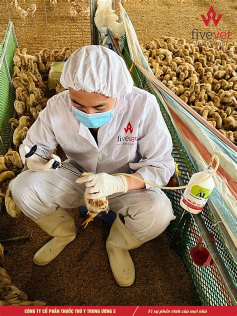 Fivevet Công ty CP thuốc thú y Trung Ương Home
