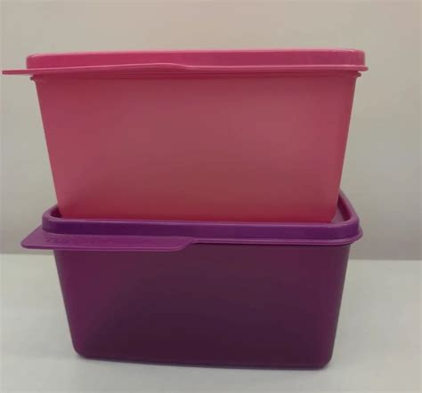 Plastic Capacity 1000 Ml Tupperware Keep Tab 12l Set Of 2 At ₹ 790piece In Chennai