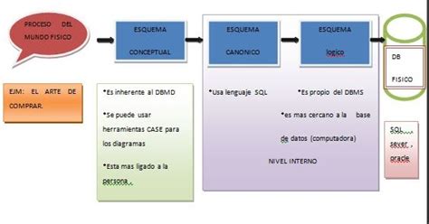 Junior Modelamiento De La Base De Datos