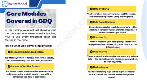 Informatica Cloud Data Quality Cdq Full Course Overview By