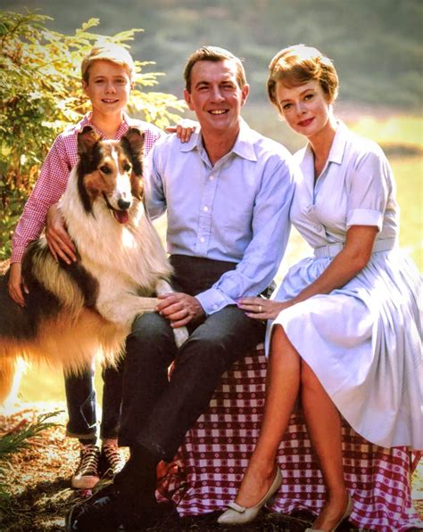 Lassie Tv Show Wallpapers Wallpaper Cave