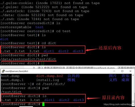 Linux备份还原数据（ Dump、restore）linux Dump Restore Csdn博客
