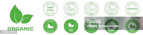 Gmo 프리 라벨 비 Gmo 배지 세트 유기농 건강한 비건 음식 아이콘 천연 제품 에코 스탬프 바이오 허브 스티커 컬렉션 100