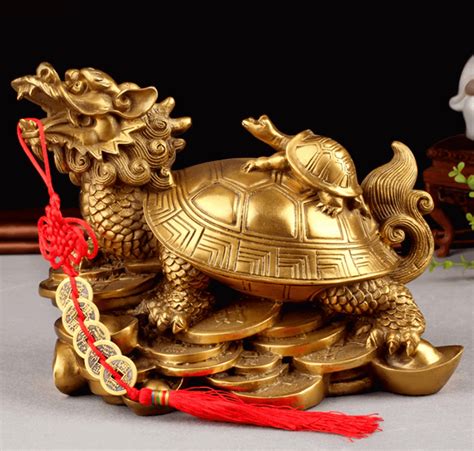 Beautiful Golden Dragon Turtle R Fengshuipractice