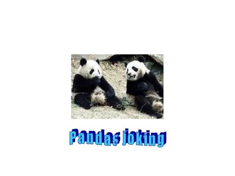 Pandas Ppt