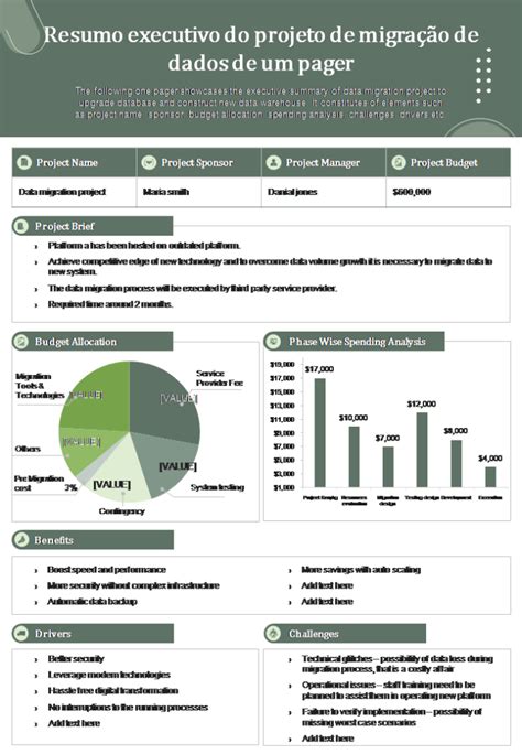 Os 5 Principais Modelos De Resumo Executivo De Projetos Com Amostras E
