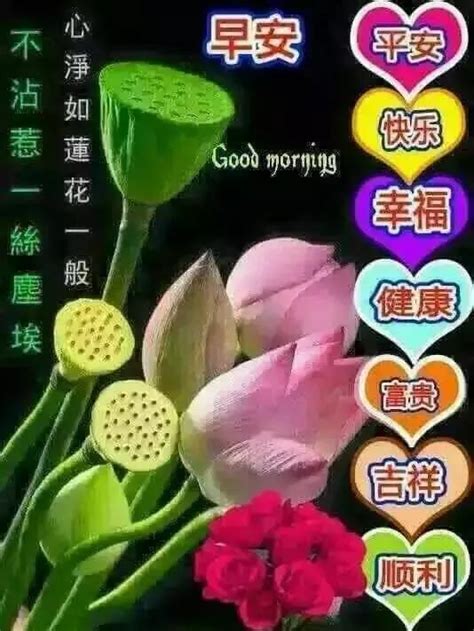 一句話語問候一聲早安輕輕一按為你送去愉快 朋友早安 每日頭條