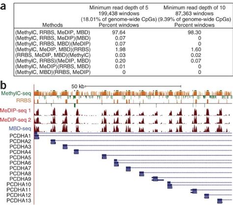 Comparison Of Sequencing Based Methods To Profile Dna Methylation And