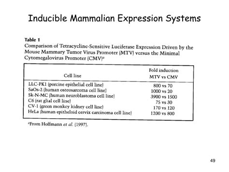 Ppt Expression In Eukaryotic Systems Powerpoint Presentation Free