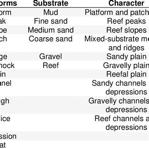 Stages Of Seabed Classification Using Bathymetry Data Terrain