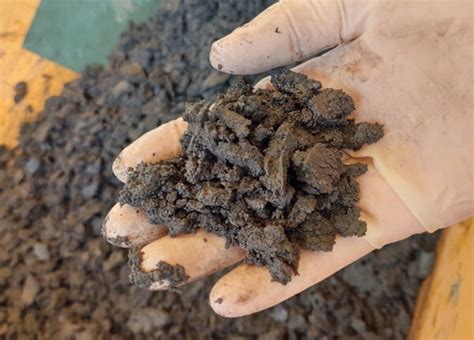 Tackling Highly Inorganic And Greasy Primary Sludge From Glass Bottle