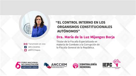 Conferencia El Control Interno En Los Organismos Constitucionales