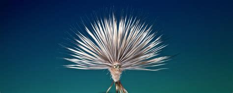 How To Tie Comparadun Wing Tutorial