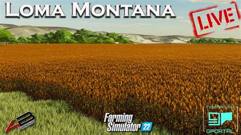LIVEWe Bought A New Field Let S Harvest Some MILLET Loma Fs22 YouTube