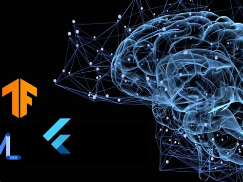 Complete Flutter Application Using ML Models With Live Camera Footage