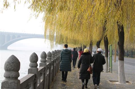 洛陽遊記之二龍門石窟白馬寺 每日頭條