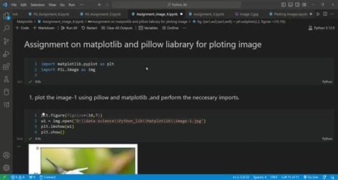 Pillow And Matplotlib Data Analysis Assignment Kanifnath Gite Posted