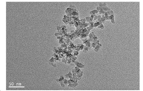 The Tem Micrograph Of Silica Nanoparticles Download Scientific Diagram