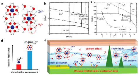 Electrolyte Additive Strategies For Suppression Of Zinc Dendrites In Aqueous Zinc Ion Batteries
