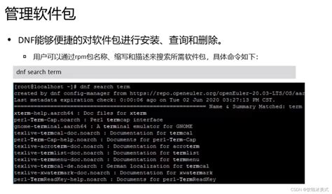 Linux包管理：使用dnf配置rpm软件源 Csdn博客