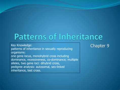 Chapter Patterns Of Inheritance