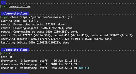 Comando Git Clone Desde El Uso Básico Hasta Las Técnicas Avanzadas
