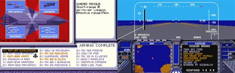 Lilura1 F 19 Stealth Fighter Ibm Pc Microprose 1988