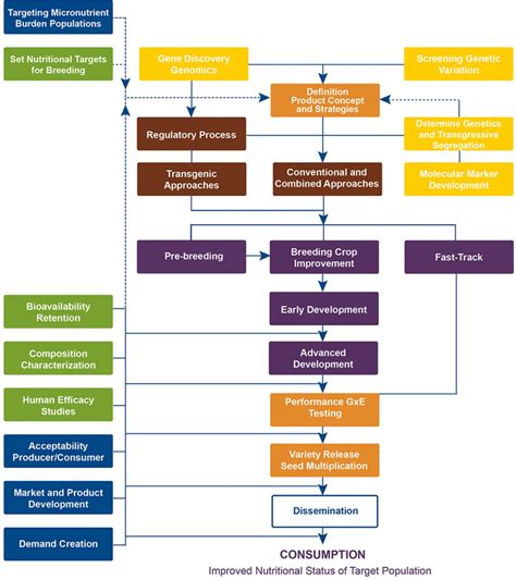 Crop Development Framework Source Harvestplus Download Scientific