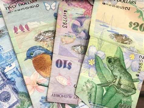 Direct Method Cash Flow A Detailed Walkthrough And Analysis