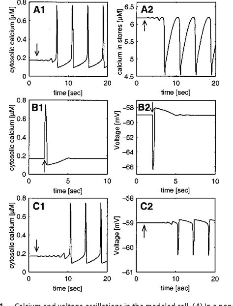 Figure 1 From The Generation Of Oscillations In Networks Of