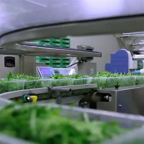 Riciclo Imballaggi Stop Ue Ricadute Su Tanti Settori Economia