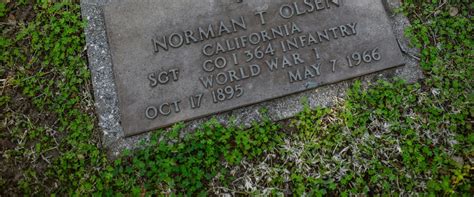 11 Dimensions Of Sciatica Symptoms After Birth Programs Muse Symphony