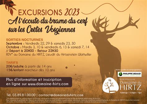 Excursion A L Coute Du Brame Du Cerf Domaine Du Hirtz
