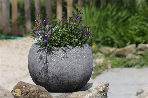 회색 둥근 공 모양의 돌 화강암 화분 원형 구형의 이미지 꽃 후행 블루 로벨리아 꽃과 흰색 Alyssum 꽃 흐린 여름 원예