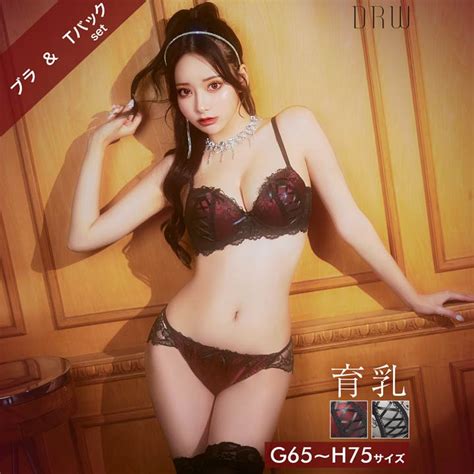 【楽天市場】ブラジャー ショーツ セット ボタニカル フルール シフォン ブラジャー And フルバック ショーツ 下着 レディース セット