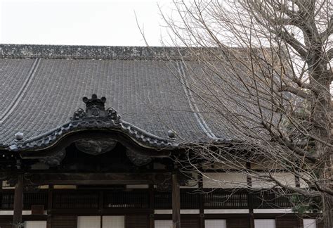 三回忌のお布施の金額の相場｜浄土真宗曹洞宗日蓮宗・注意点 社会人常識を学ぶならmayonez
