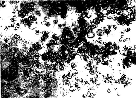 Method For Constructing Genome Library Eureka Patsnap