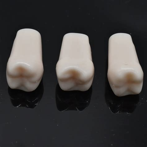 Dental Resin Teeth Typodont Model 28pcs Removable Tooth For Practice