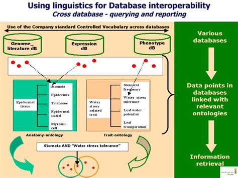 Ontology Development And Use For Efficient Information Input And