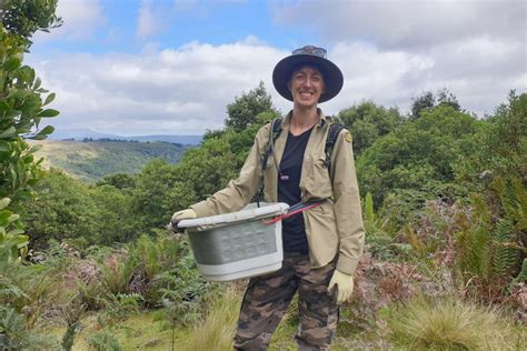 A Foragers Life Wild Pepper Isle