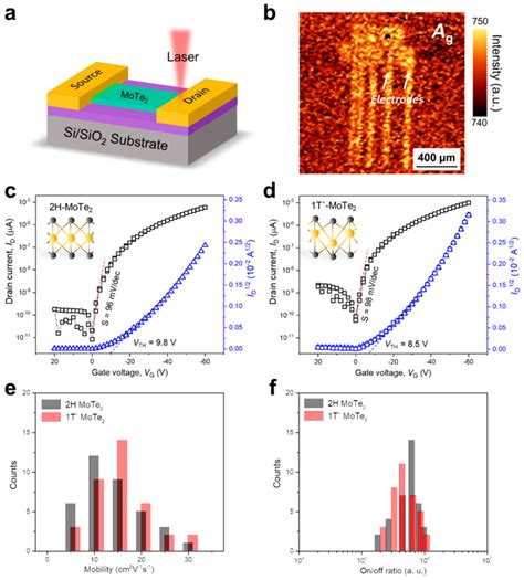 Electrical Characterization Of 2h And 1t′ Phase Of Mote2 Fets A Download Scientific Diagram