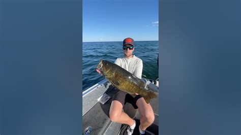 The Best Tubes For Spring Smallmouth Bass Fishing Youtube