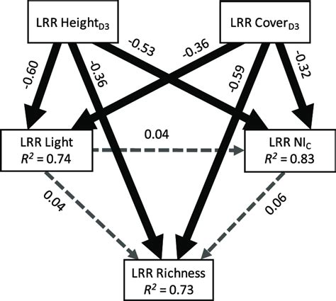 Structural Equation Model Representing Connections Between Each Of